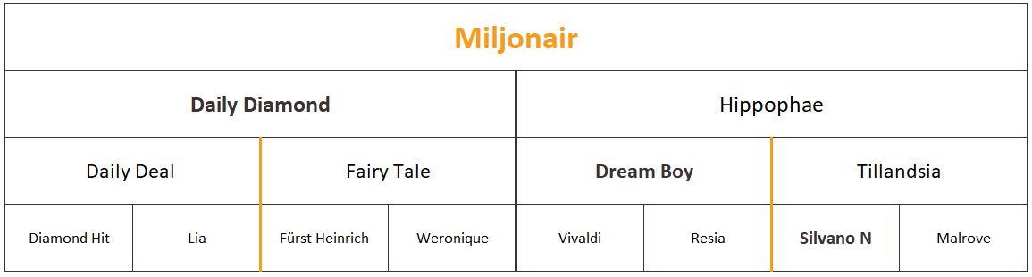 Miljonair - Excellent Dressage Sales