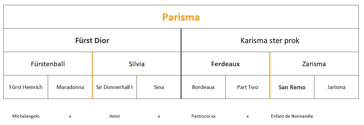 Parisma - Excellent Dressage Sales