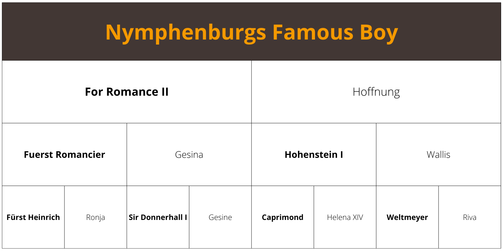 Nymphenburgs Famous Boy - Excellent Dressage Sales