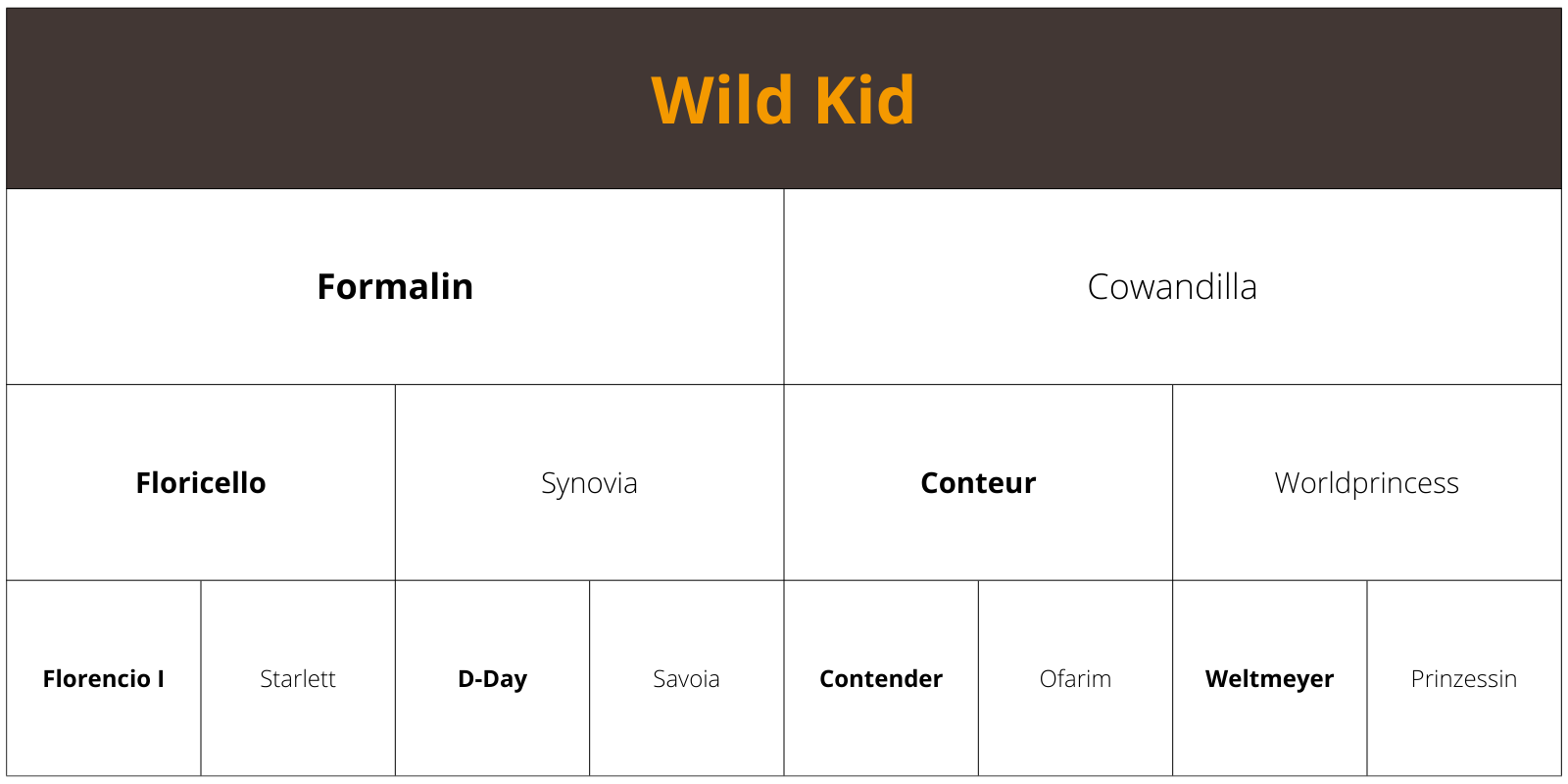 Wild Kid - Excellent Dressage Sales